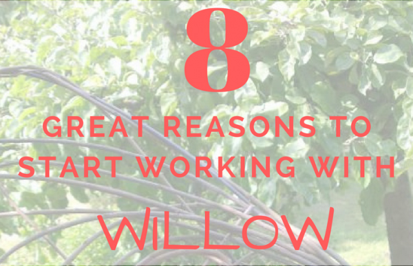 8 Great reasons to start working with willow, wicker, crafting with willow