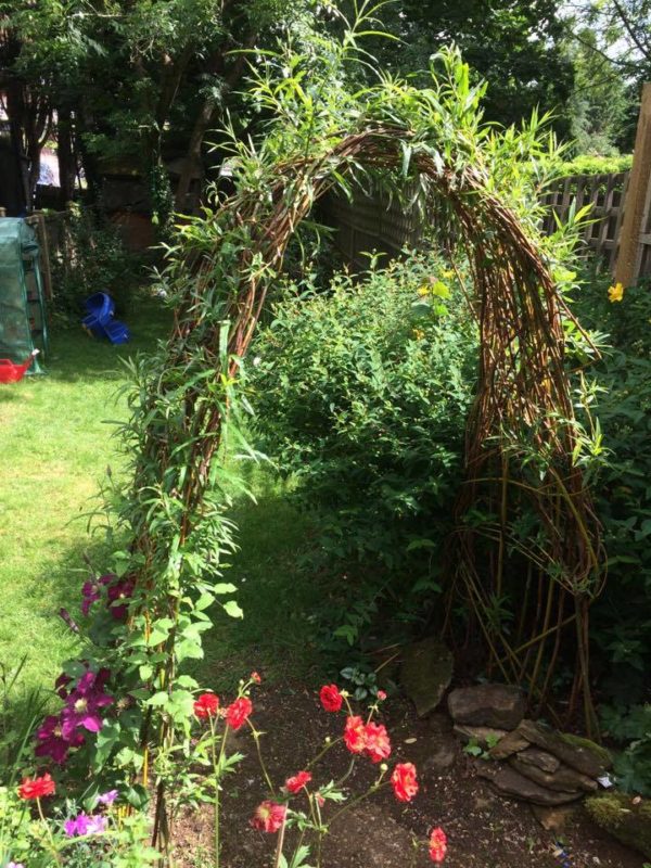 Benefits of planting living willow garden sculptures and structures