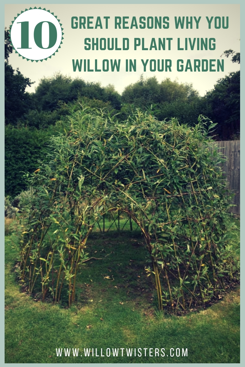 Benefits of planting living willow garden sculptures and structures